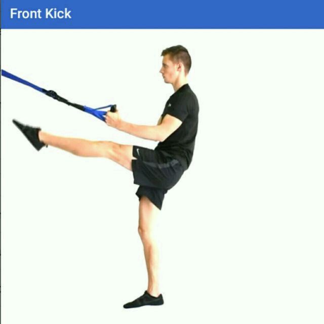 TRX Front Kicks by Saeed H. - Exercise How-to - Skimble