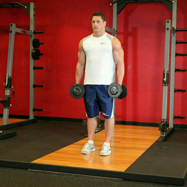 Dumbbell Bicep Curl (custom) por Thomas R. - Ejercicio Cómo hacerlo ...