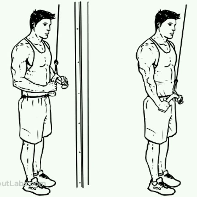 Cable Pushdown by Dima S. - Exercise How-to - Skimble