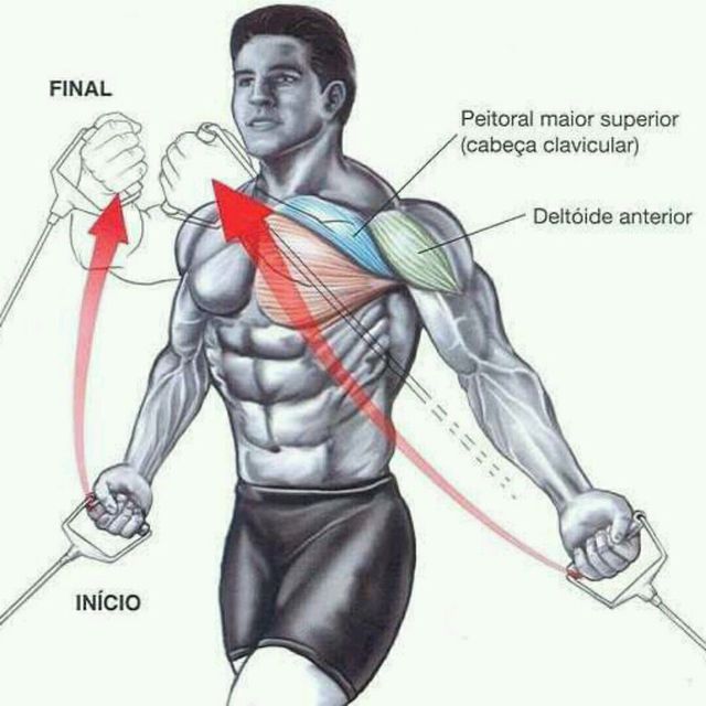 CM Low Pulley Crossover Fly by Pavel B. - Exercise How-to - Skimble
