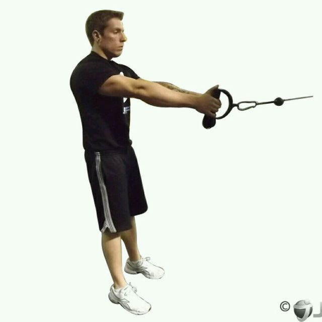 Standing Rows Exercise