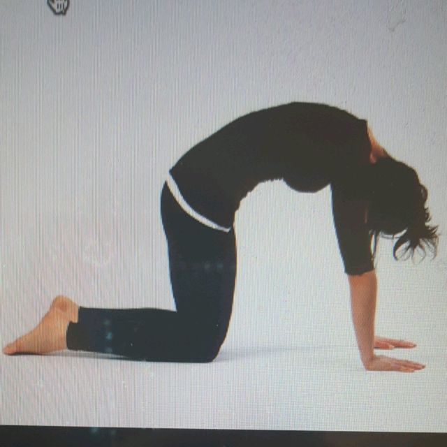 Stretch: Cat And Cow by Kristine Norton - Exercise How-to - Skimble