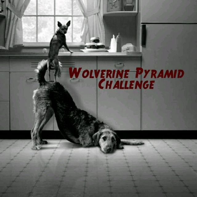 Downward Dog Pyramid Does Help Achieve Your Goal ⛰️ ️ Pat - Free Yoga ...