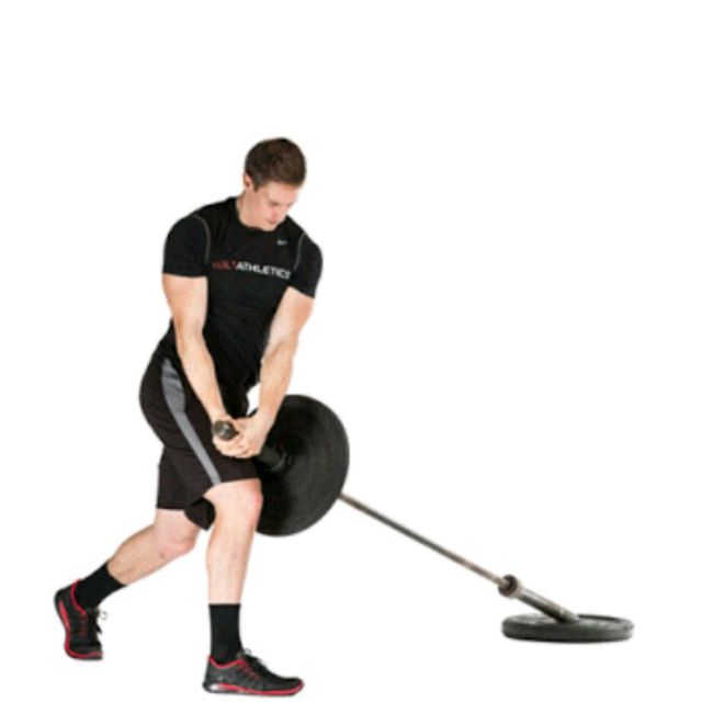 Torso Rotations With Barbell by Aysel S. - Exercise How-to - Skimble