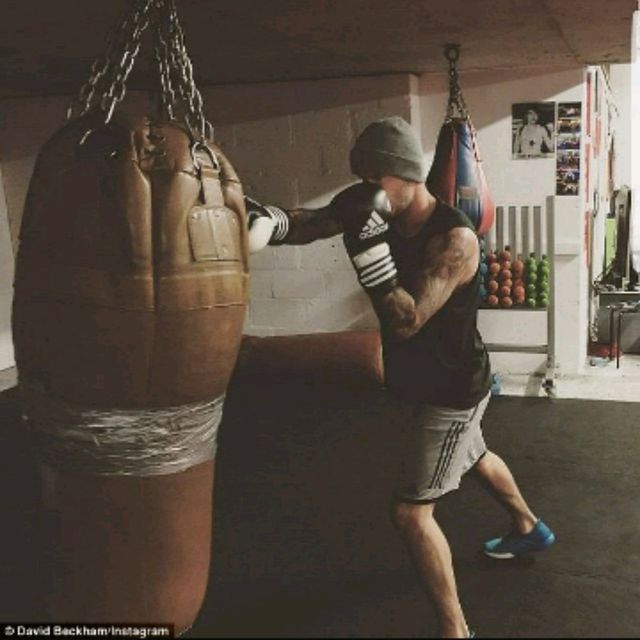 BAG WORK by 𝔻𝕖𝕤𝕖𝕣𝕥 𝔽𝕠𝕩🦊 🌟 - Exercise How-to - Skimble