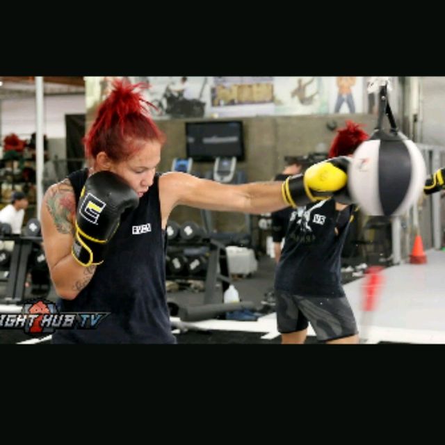 BAG WORK by 𝔻𝕖𝕤𝕖𝕣𝕥 𝔽𝕠𝕩🦊 🌟 - Exercise How-to - Skimble