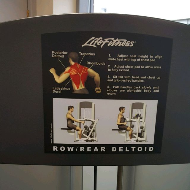 Rowing Rear Deltoids by Barry Brody - Exercise How-to - Skimble