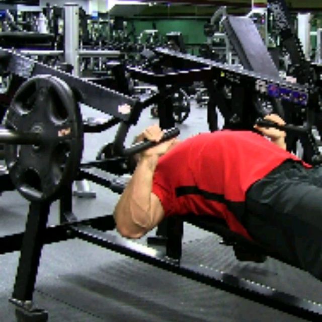 Flat Bench Machine 10-12 by 𝔻𝕖𝕤𝕖𝕣𝕥 𝔽𝕠𝕩🦊 🌟 - Exercise How-to - Skimble