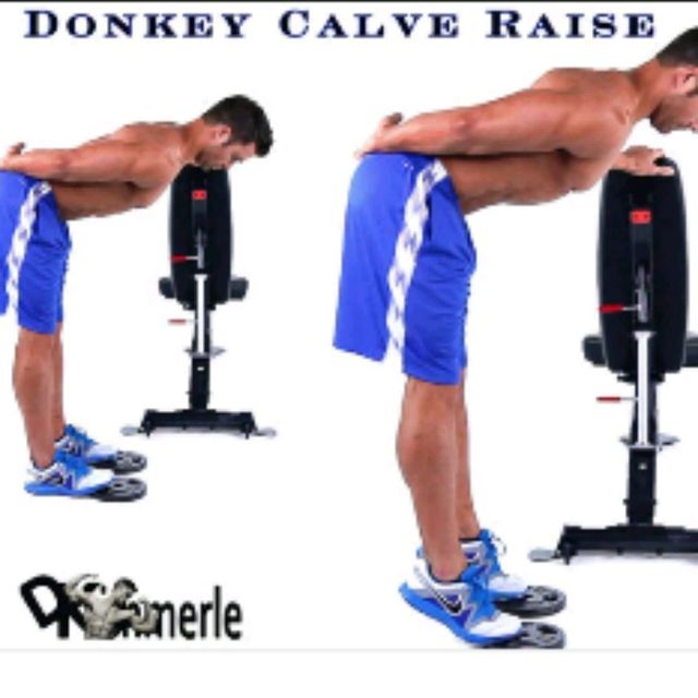 Donkey Calf Raise by 𝔻𝕖𝕤𝕖𝕣𝕥 𝔽𝕠𝕩🦊 🌟 - Exercise How-to - Skimble
