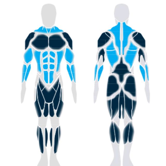 Ultimate Full Body Workout - Free Back Workout by Randy C. - Skimble