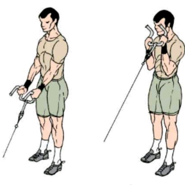 Cable Curls by 𝔻𝕖𝕤𝕖𝕣𝕥 𝔽𝕠𝕩🦊 🌟 - Exercise How-to - Skimble