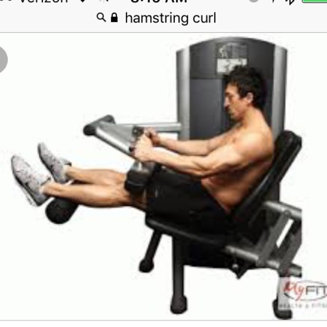 Hamstring Curl Seated by Jen F. - Exercise How-to - Skimble