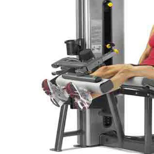 Leg Extension Machine by Sarah Morris - Exercise How-to - Skimble