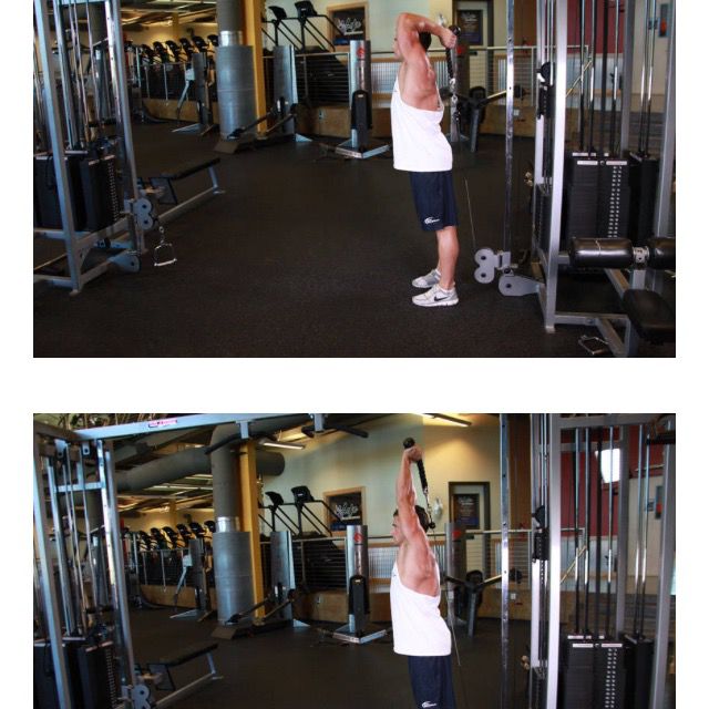 Cable Rope Tri Ext Overhead by Jen F. - Exercise How-to - Skimble