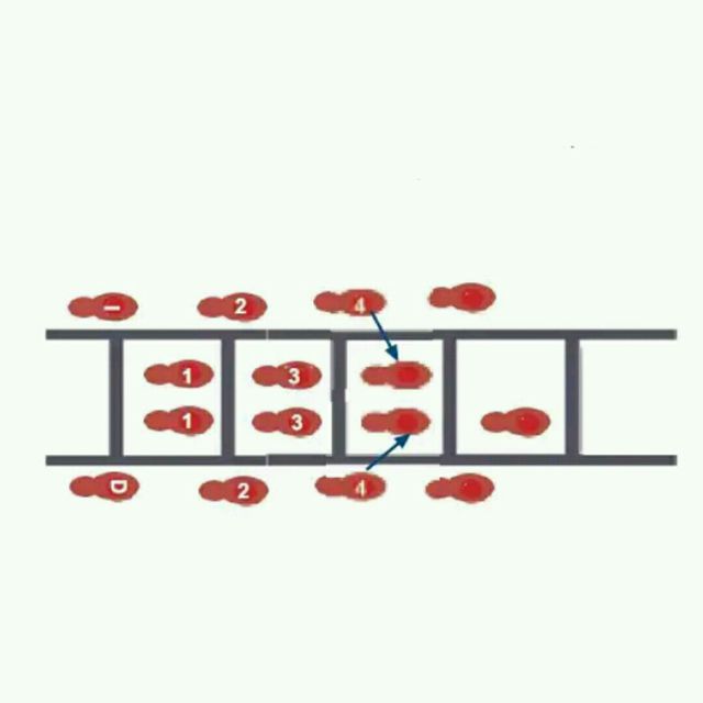 Escalera De Agilidad By Raúl Personal Trainer Ejercicio Cómo Hacerlo