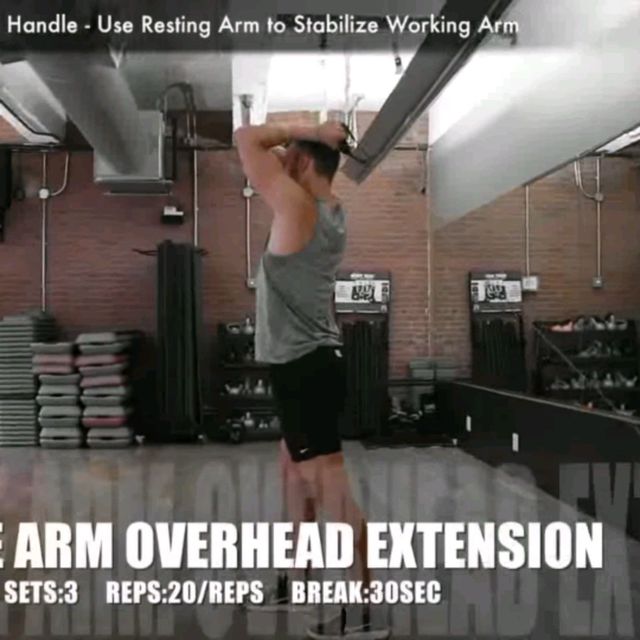 Single Arm Extension by Dennis Richardson - Exercise How-to - Skimble