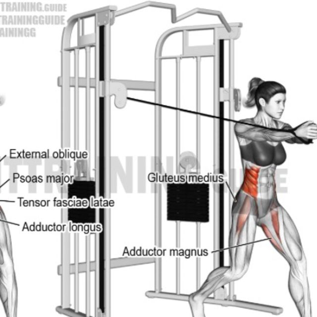 Cable Twist by Christy R. - Exercise How-to - Skimble