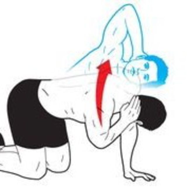 Rotation Seated Heels by David Perlis - Exercise How-to - Skimble