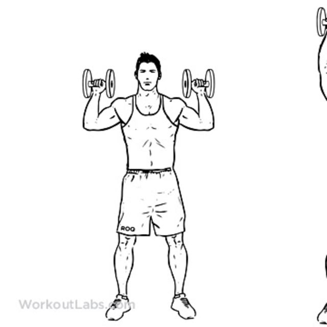 Military Press by Chet Arciuch - Exercise How-to - Skimble