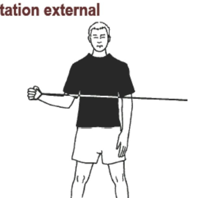External Rotator Shoulder by Jessica R.lepage - Exercise How-to - Skimble