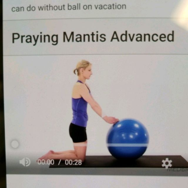 Praying Mantis Advanced by Jon Himes - Exercise How-to - Skimble