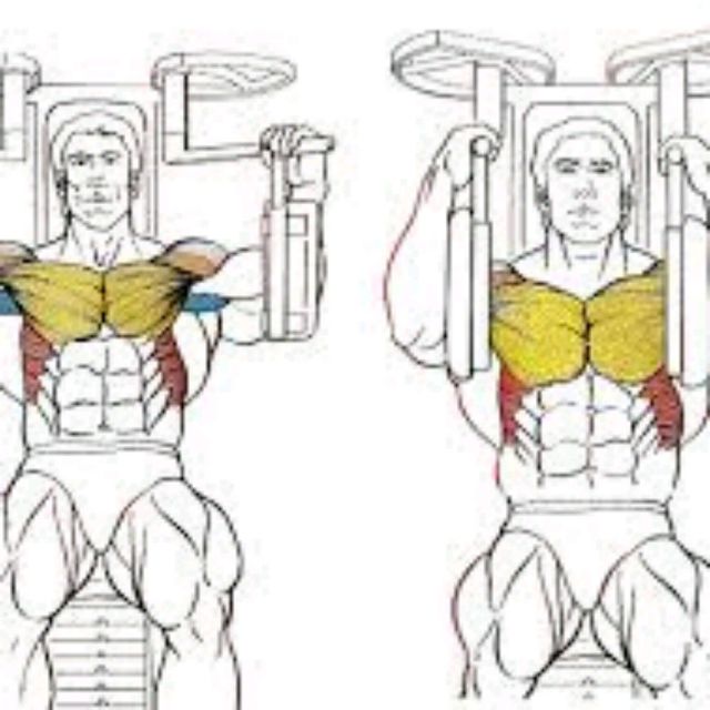 Aperturas En Contractor De Pecho by Andres Velasquez - Ejercicio Cómo ...