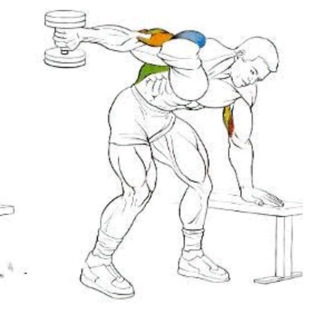 Patada Trasera Con Mancuerna by Andres Velasquez - Ejercicio Cómo ...