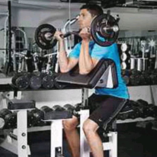 Preacher Curl by Adali Ramos - Exercise How-to - Skimble