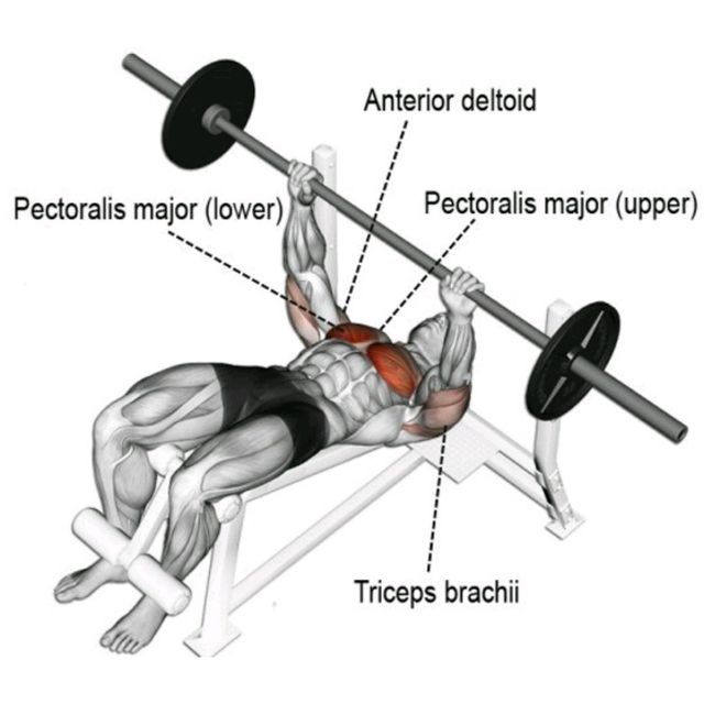 Decline Presses par Roberto Hori - Comment faire de l'exercice - Skimble