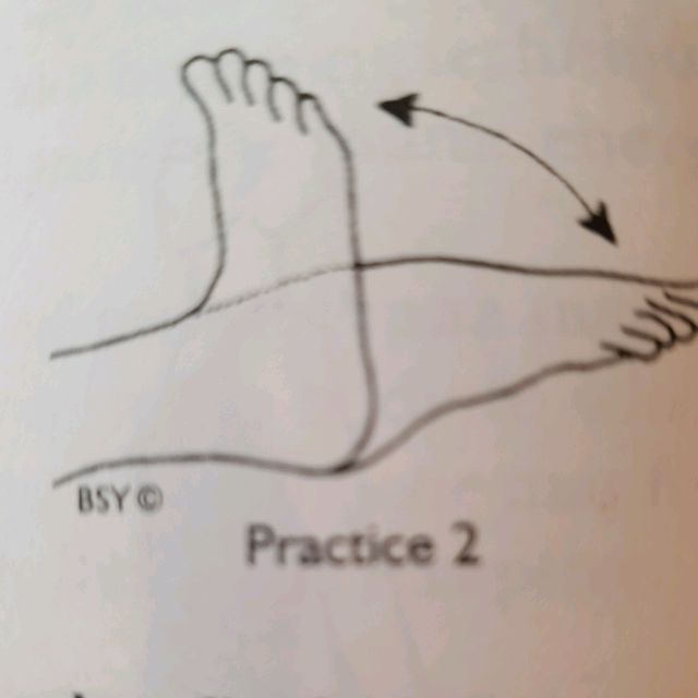 Toe Bending by 𝔻𝕖𝕤𝕖𝕣𝕥 𝔽𝕠𝕩🦊 🌟 - Exercise How-to - Skimble