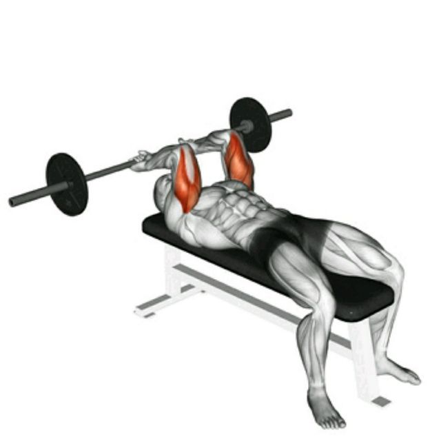 Seated Tricep Extension Barbell