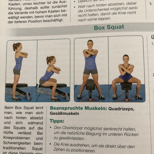 Box Squat by Tanja B. - Exercise How-to - Skimble Workout Trainer