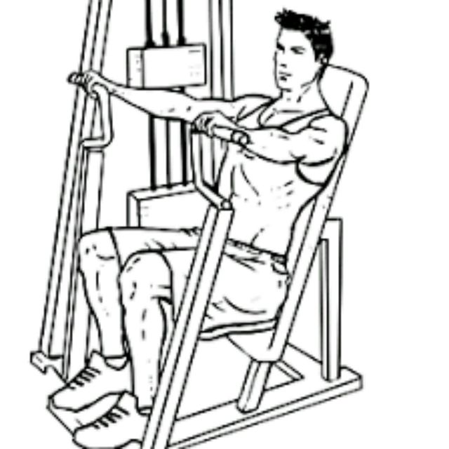 Machine Chest Press by Shalin K. - Exercise How-to - Skimble