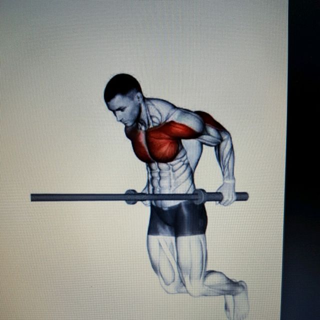 Bar Dips - 16kg by Alessandro Bertini - Exercise How-to - Skimble