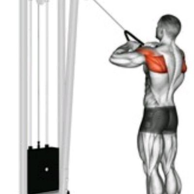 Standing wide cable pulls - 47kg by Alessandro Bertini - Exercise How ...