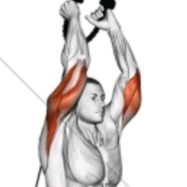 Overhead cable triceps - 24.9kg by Alessandro Bertini - Exercise How-to ...