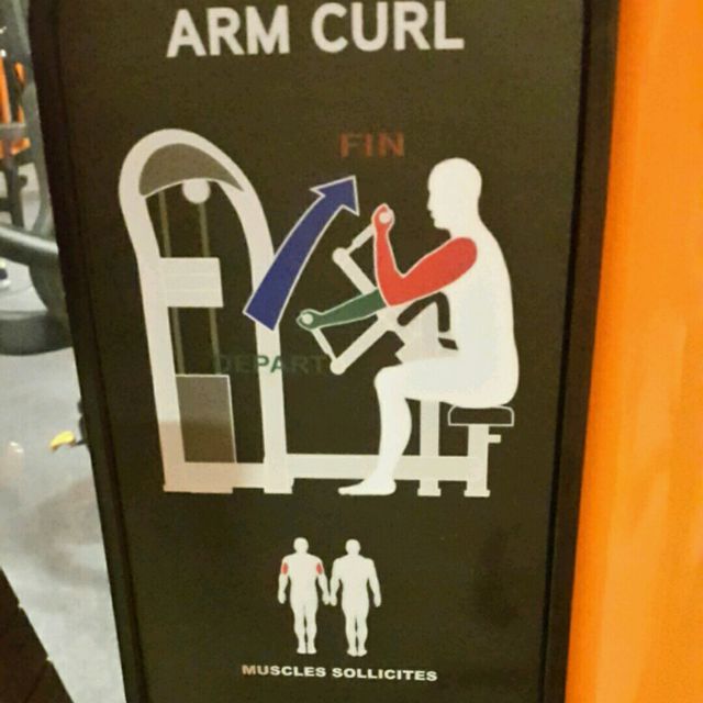 Arm Curl Machine by Benjamin Albos - Exercise How-to - Skimble