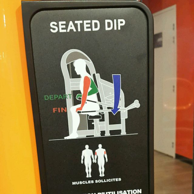 Triceps Seated Machine by Benjamin Albos - Exercise How-to - Skimble