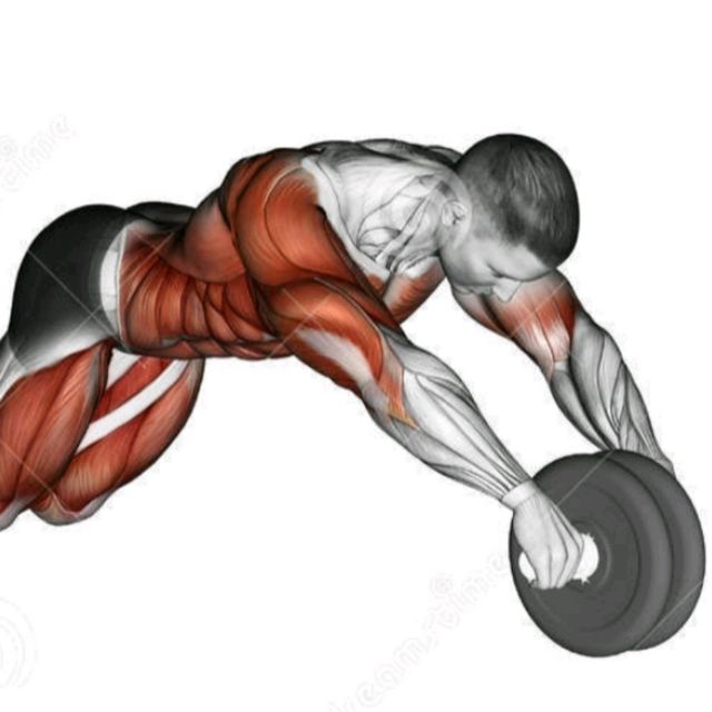 Ab Wheel by Trenise Jones - Exercise How-to - Skimble