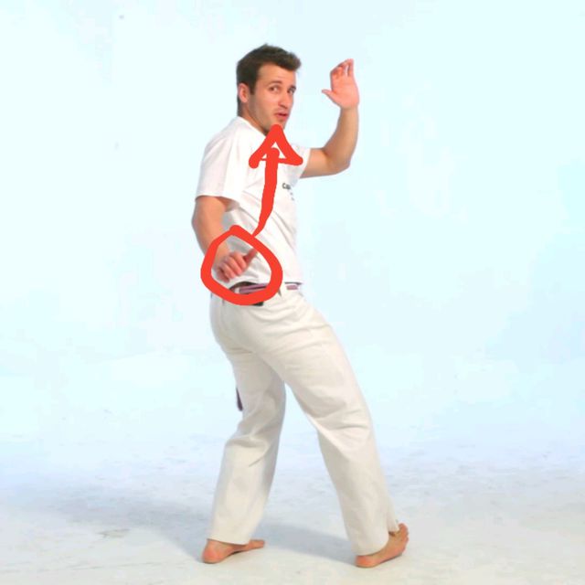 Capoeira Armada by Ciro H. - Exercise How-to - Skimble