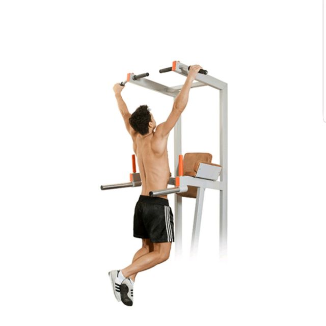 Back - Chin-Ups by Saranyapong T. - Exercise How-to - Skimble