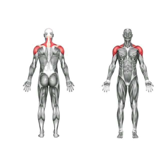 Shoulders Dumbbell Lateral Raise With Arms Bent By Saranyapong T