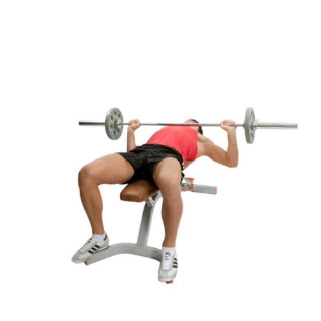 Chest Barbell Bench Presses By Saranyapong T Exercise How To Skimble
