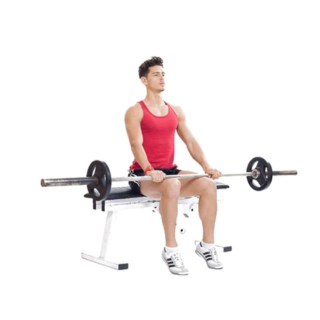 Calf - Barbell Calf Raises (Seated) by Saranyapong T. - Exercise How-to ...