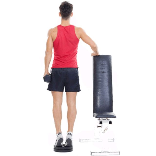 Calf - Standing Dumbbell Craft Raise by Saranyapong T. - Exercise How ...