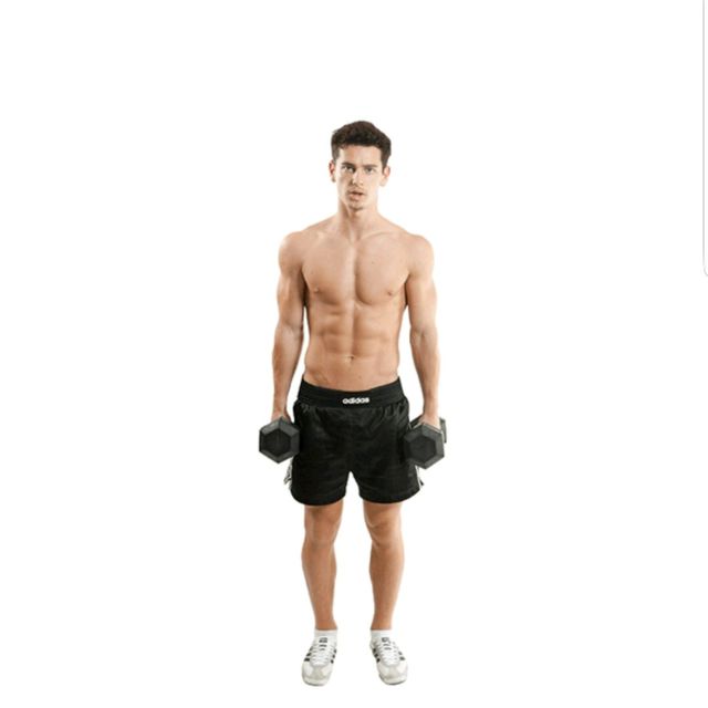 Abs - Dumbbell Side Bends by Saranyapong T. - Exercise How-to - Skimble