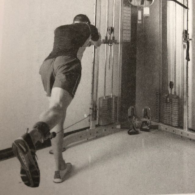 Cable Leg Kickbacks by Daniel Hoover - Exercise How-to - Skimble