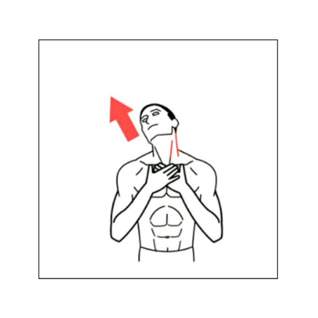 Scalene Stretch by Patricie K - Exercise How-to - Skimble