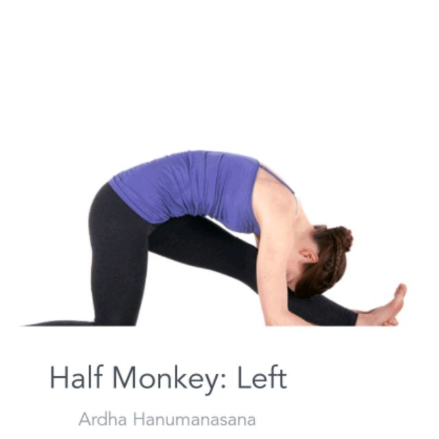 Hald Monkey Left by 𝔻𝕖𝕤𝕖𝕣𝕥 𝔽𝕠𝕩🦊 🌟 - Exercise How-to - Skimble