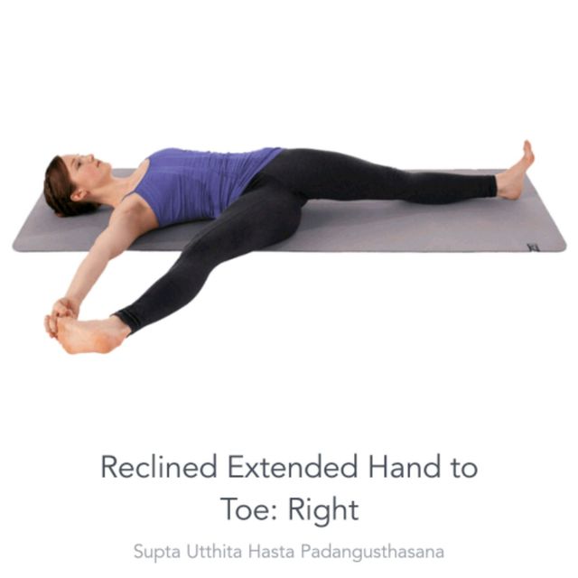 Right extended Hand To Toe by 𝔻𝕖𝕤𝕖𝕣𝕥 𝔽𝕠𝕩🦊 🌟 - Exercise How-to - Skimble